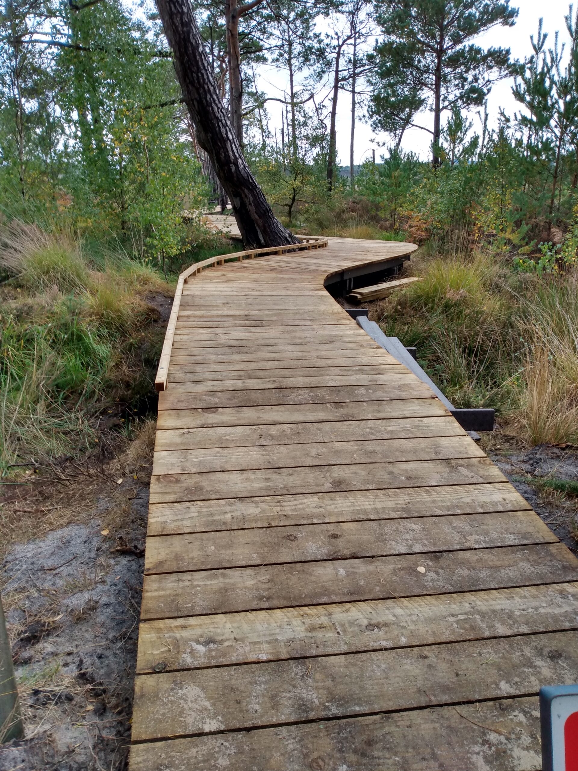 Thursley National Nature Reserve Boardwalk - Keystone