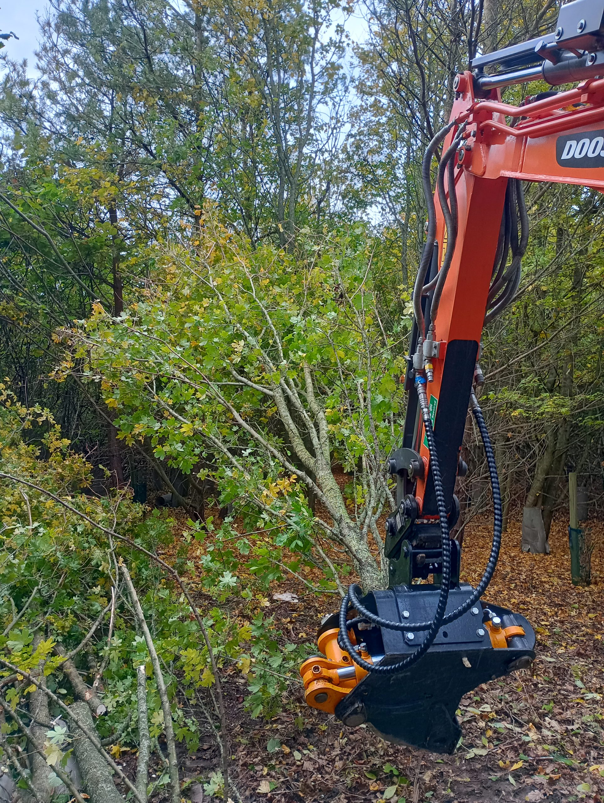 Ipsden BNG Habitat Enhancement - Keystone
